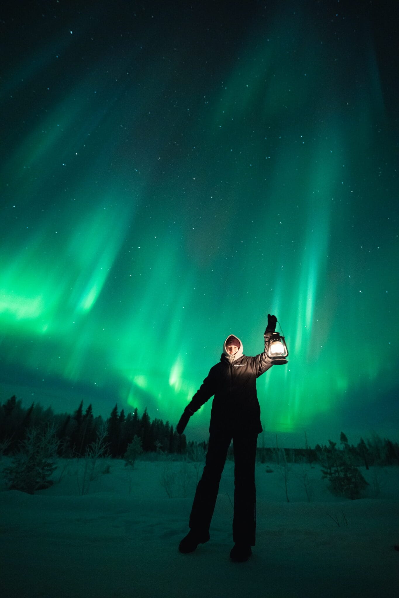 test page - Book Lapland