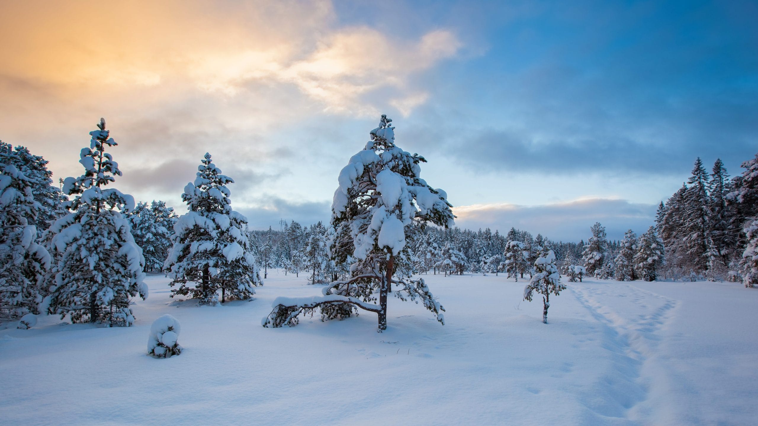 Guida alla neve in Finlandia: 10 fatti chiave da sapere - Libro Lapponia
